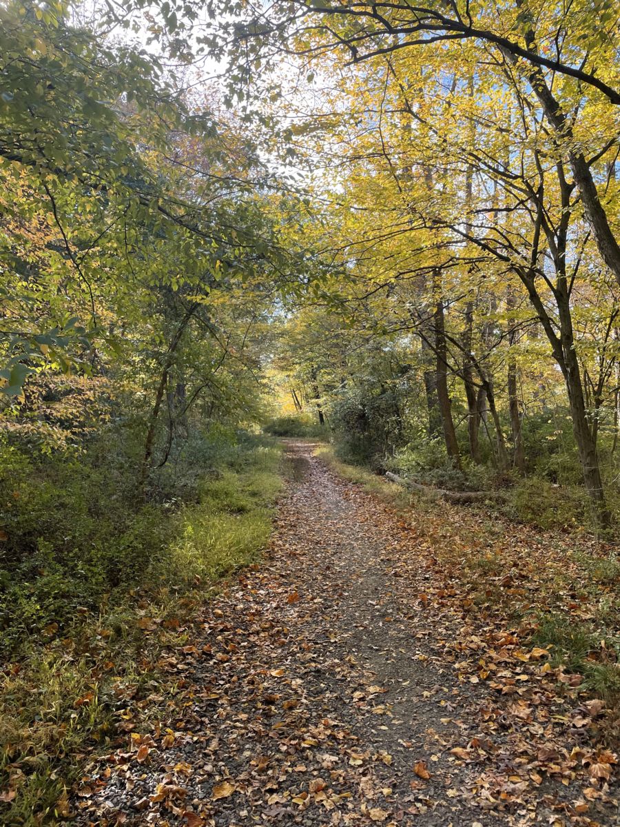Patriots Path - Mendham Borough